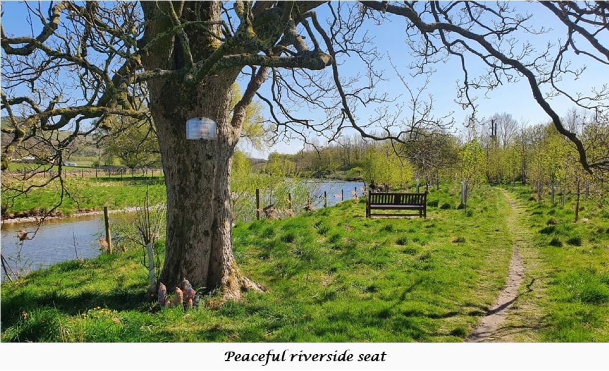 Visit Settle - Tranquillity